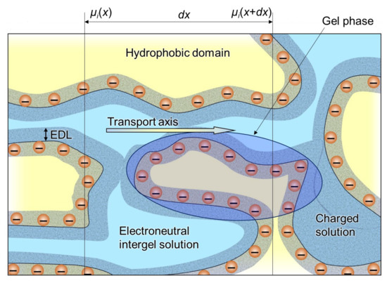 Ion and Water Transport in Ion-Exchange Membranes for Power Generation ...