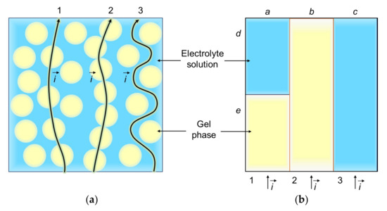 Ion and Water Transport in Ion-Exchange Membranes for Power Generation ...