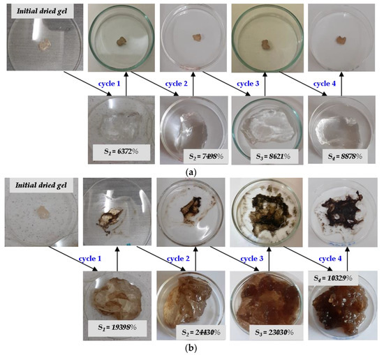 Sodium Alginate-g-acrylamide/acrylic Acid Hydrogels Obtained by ...
