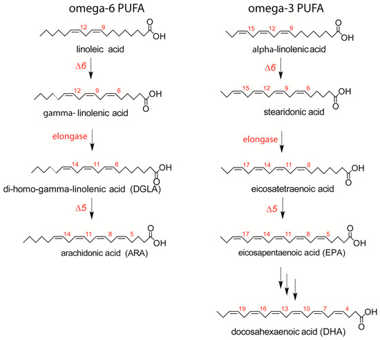 Fatty-Acid-Based Membrane Lipidome Profile of Peanut Allergy Patients ...