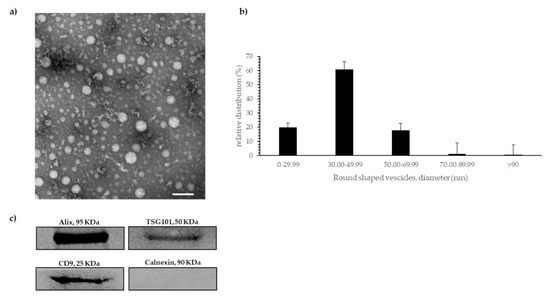 Evaluation of Exosomal Coding and Non-Coding RNA Signature in Obese Adolescents