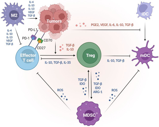Exposure of Immunogenic Tumor Antigens in Surrendered Immunity and the ...