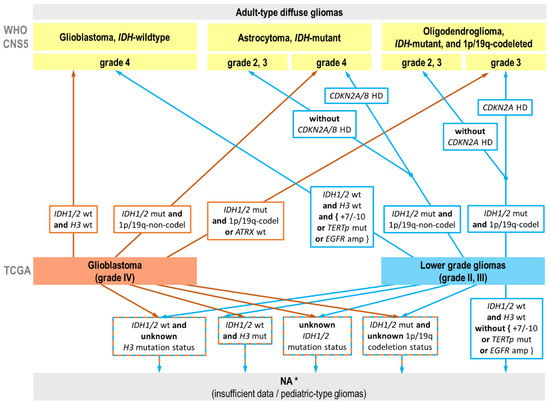 Reclassification of TCGA Diffuse Glioma Profiles Linked to ...