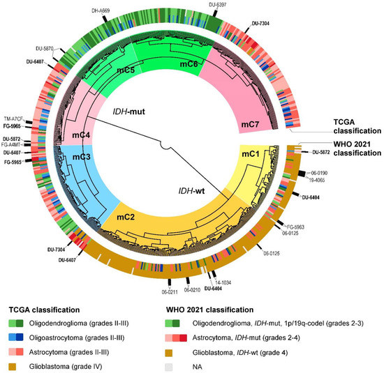 Reclassification of TCGA Diffuse Glioma Profiles Linked to ...