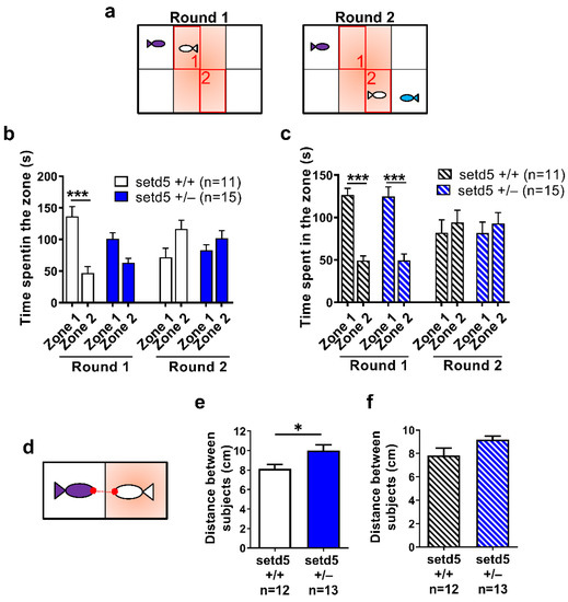 CRISPR/Cas9-Induced Inactivation of the Autism-Risk Gene setd5 Leads to ...