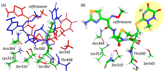 Evolution of Ceftriaxone Resistance of Penicillin-Binding Proteins 2 ...