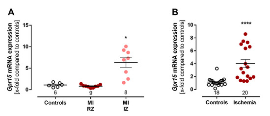G Protein-Coupled Receptor 15 Expression Is Associated with Myocardial ...