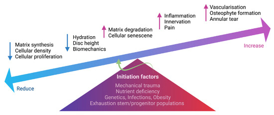 Discogenic Low Back Pain: Anatomy, Pathophysiology and Treatments of ...
