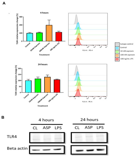 Asprosin Exerts Pro-Inflammatory Effects in THP-1 Macrophages Mediated ...