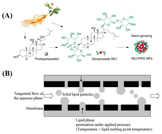 Nano Functional Food: Opportunities, Development, and Future Perspectives