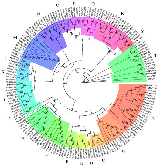 Genome-Wide Characterization and Evolutionary Expansion of Poplar NAC Transcription Factors and ...