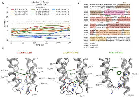 IJMS | Free Full-Text | Functional Heterodimerization between the G ...