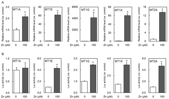 The Difference in Zinc Concentrations Required for Induction among ...