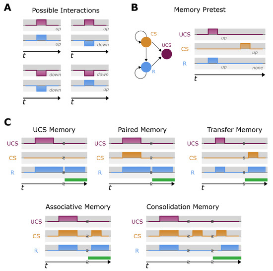 Learning in Transcriptional Network Models: Computational Discovery of ...