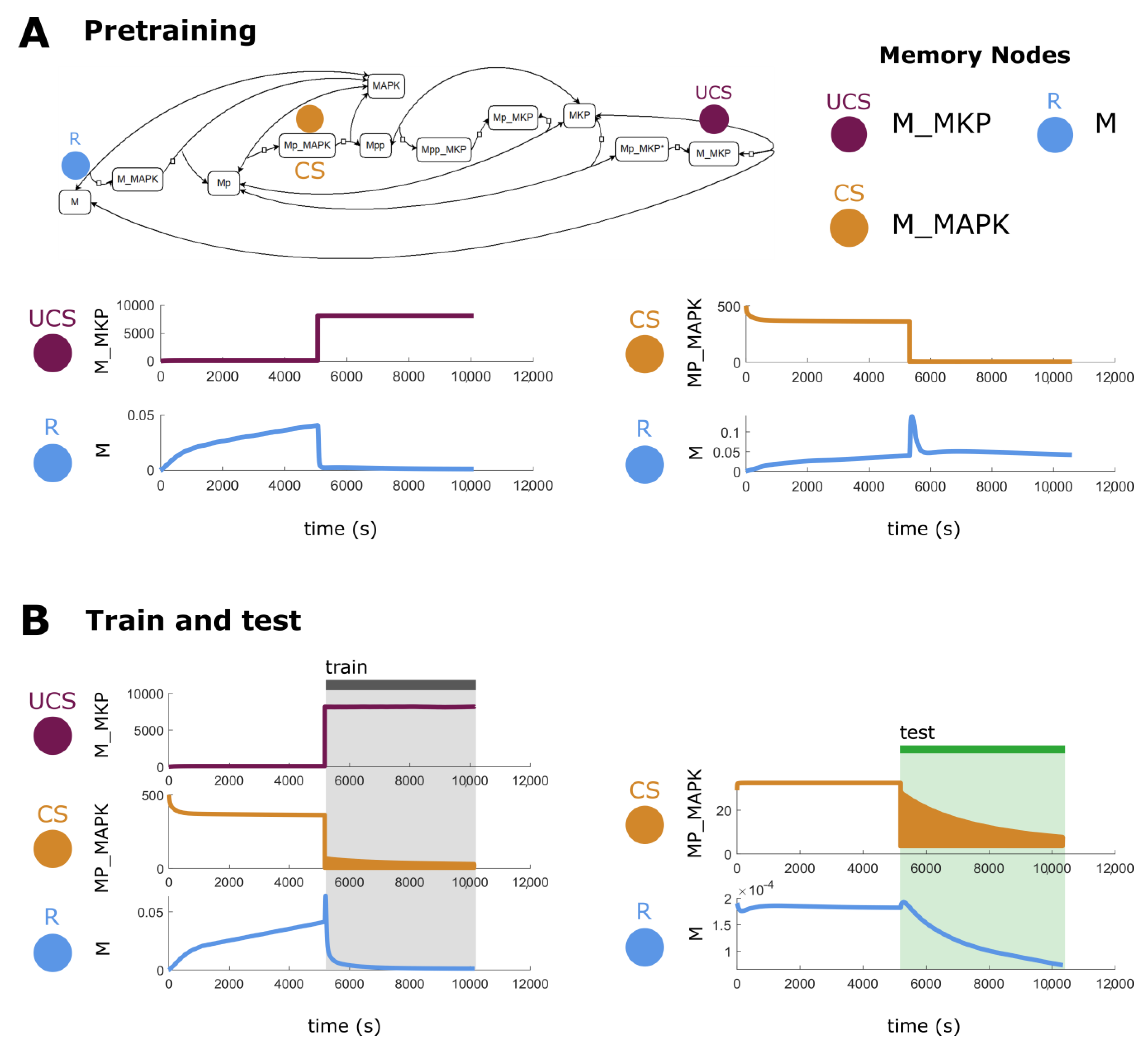 Learning in Transcriptional Network Models: Computational Discovery of Pathway-Level Memory and ...