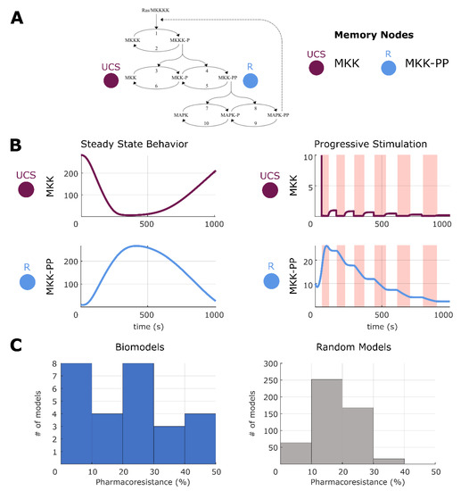 Learning in Transcriptional Network Models: Computational Discovery of ...