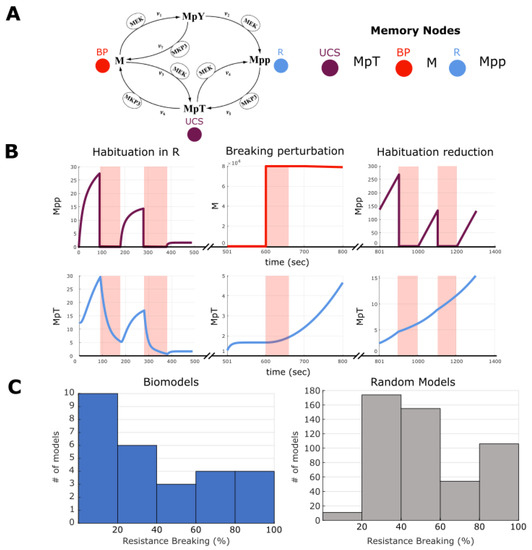 Learning in Transcriptional Network Models: Computational Discovery of ...