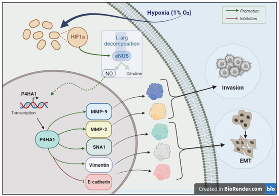 Preclinical and Clinical Applications of Metabolomics and Proteomics in ...