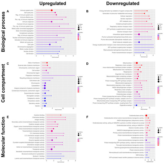 Gene Expression Analysis in gla-Mutant Zebrafish Reveals Enhanced Ca2 ...