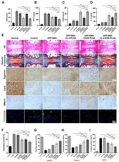 An Injectable Hydrogel Scaffold Loaded with Dual-Drug/Sustained-Release ...