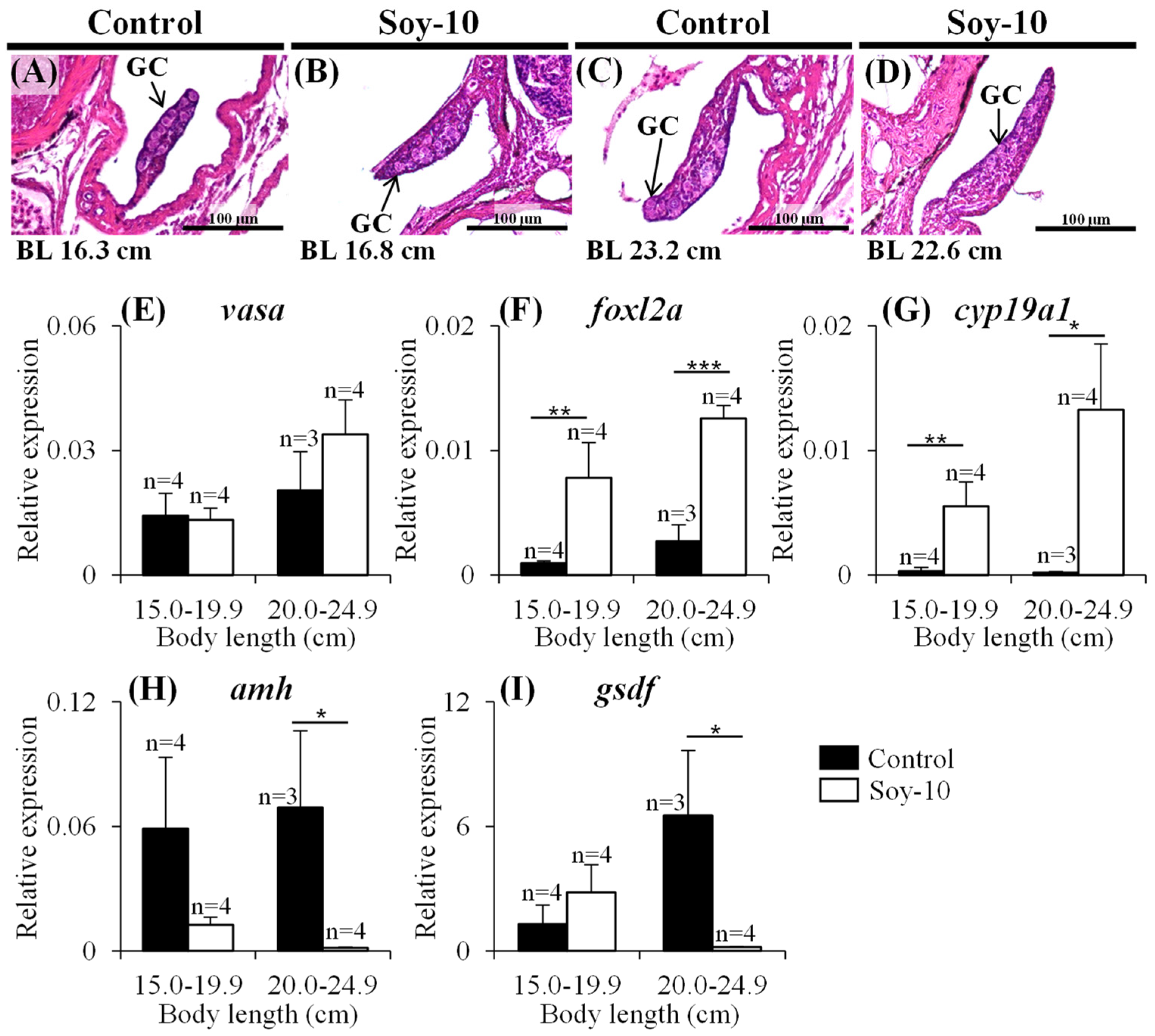 Ijms Free Full Text Soy Isoflavones Induce Feminization Of Japanese