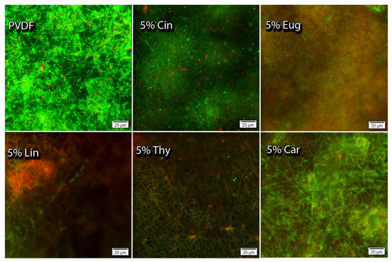 Antibacterial and Antifouling Efficiency of Essential Oils-Loaded Electrospun Polyvinylidene ...