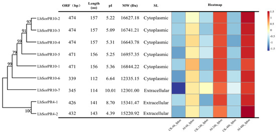 Full-Length Transcriptome Characterization and Functional Analysis of ...