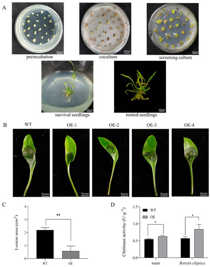 Full-Length Transcriptome Characterization and Functional Analysis of ...