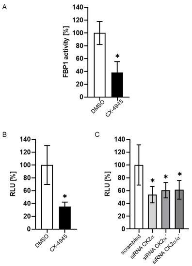 Protein Kinase CK2 Contributes to Glucose Homeostasis by Targeting ...