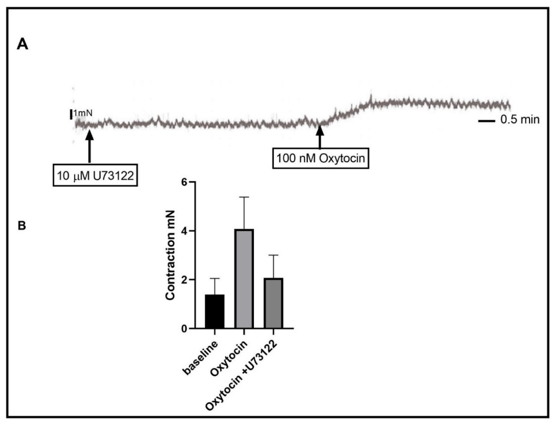 IJMS | Free Full-Text | Mechanism of Oxytocin-Induced Contraction in ...