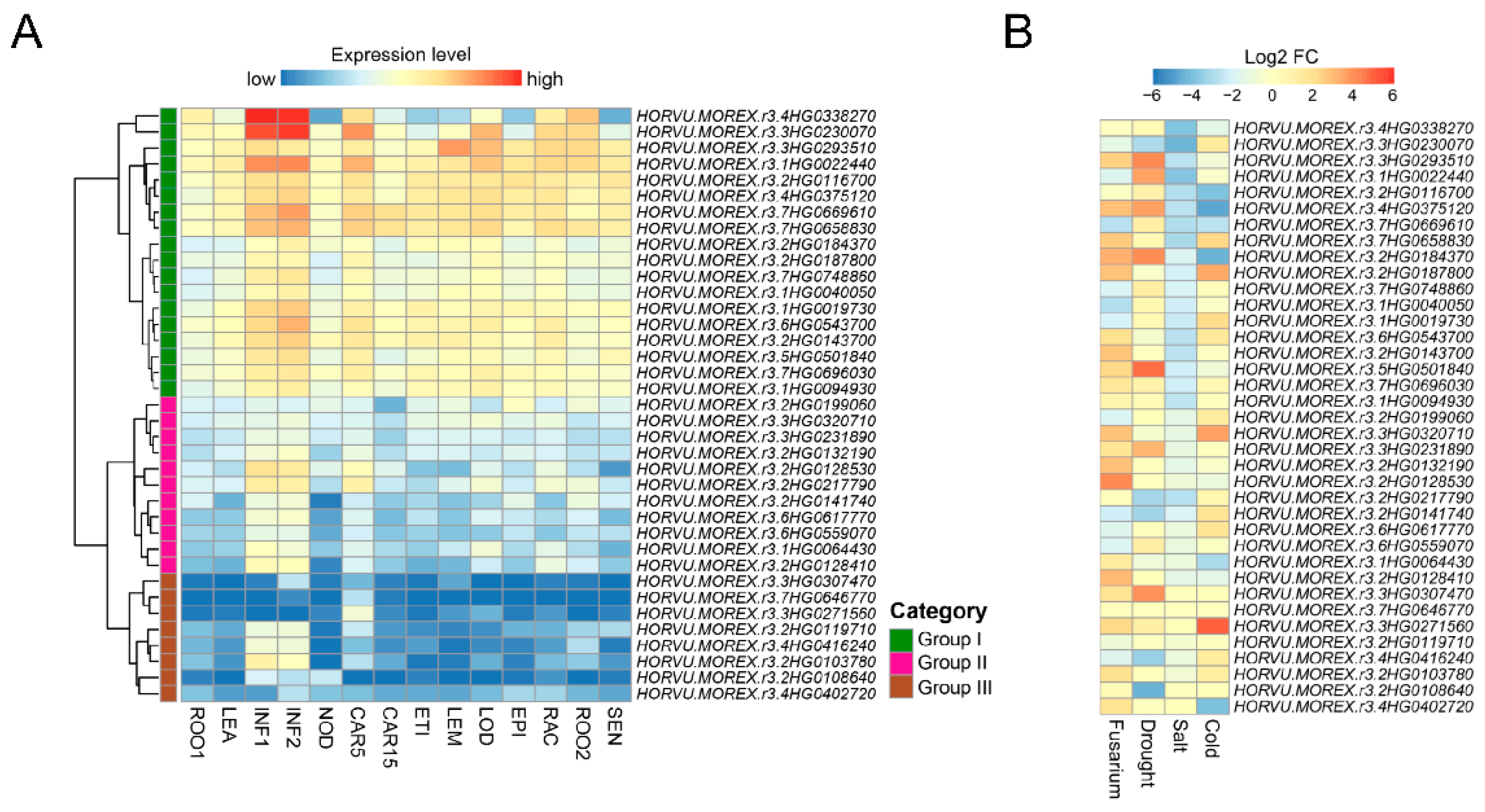 Genome-Wide Analysis of Snf2 Gene Family Reveals Potential Role in ...