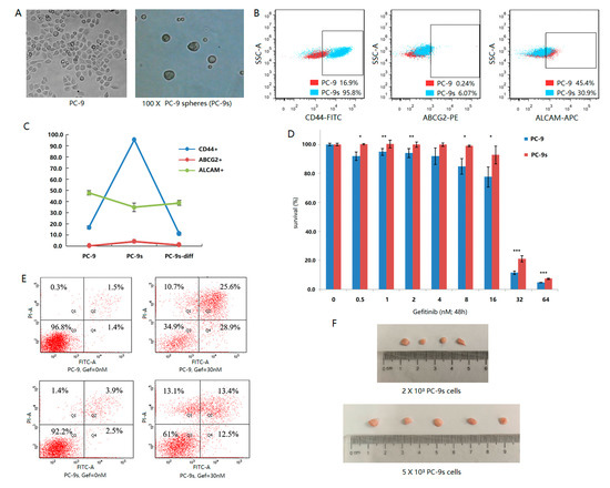 IJMS | Free Full-Text | Single-Cell Transcriptomics Unveils the ...