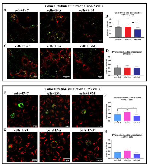 Extracellular Vesicles from Campylobacter jejuni CDT-Treated Caco-2 Cells Inhibit Proliferation ...