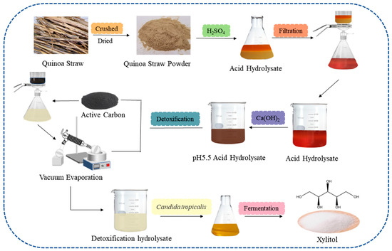 Evaluation of Preparation and Detoxification of Hemicellulose ...