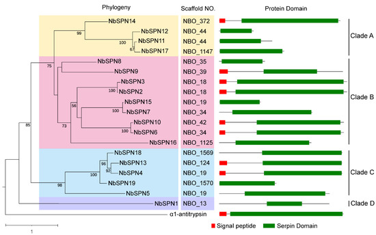 Genome-Wide Characterization and Comparative Genomic Analysis of the ...
