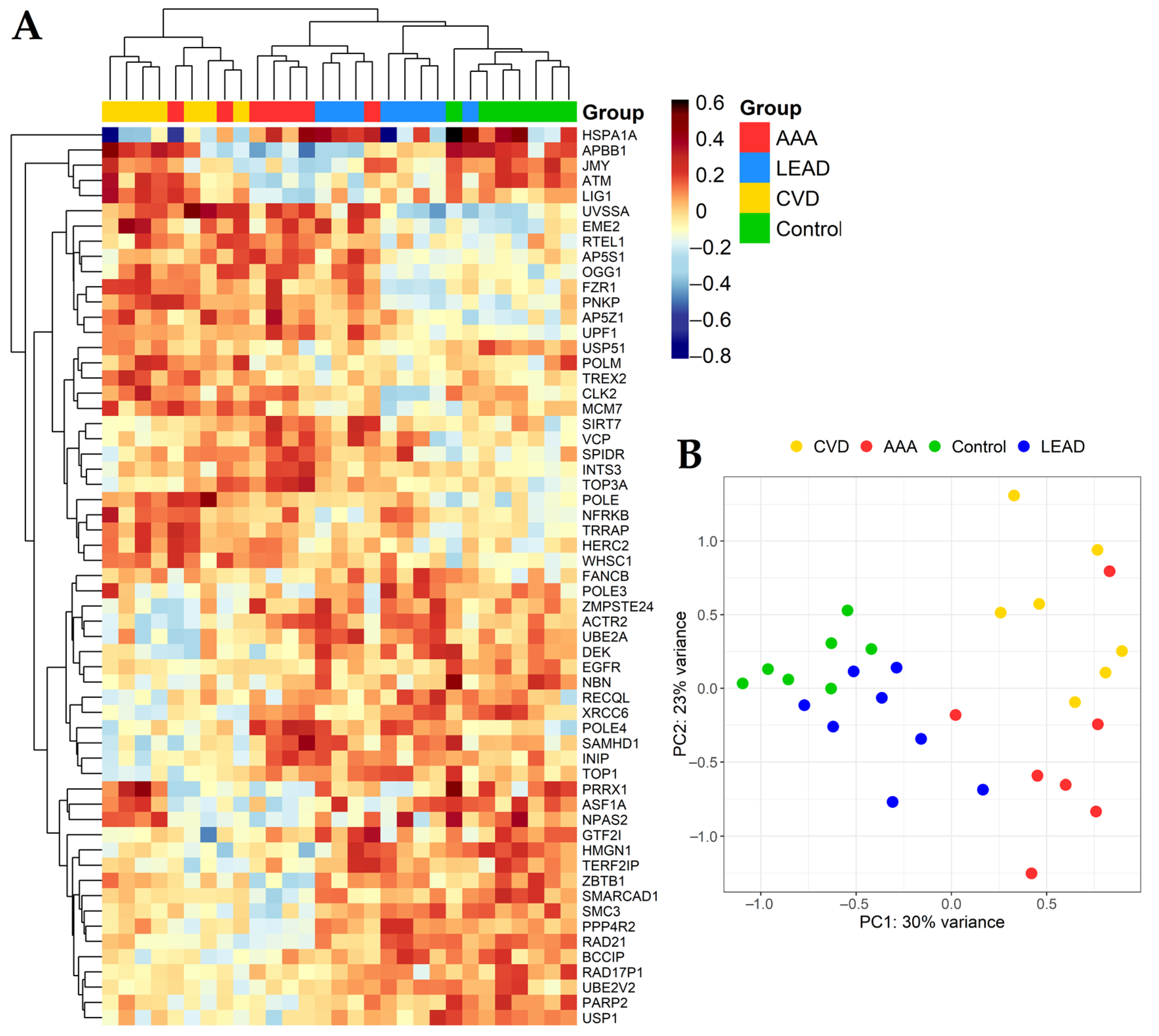 Next-Generation Sequencing in the Assessment of the Transcriptomic Landscape of DNA Damage ...