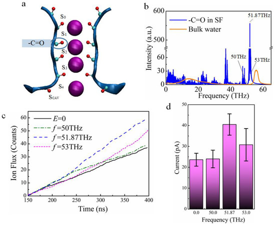 Regulation of Ion Permeation of the KcsA Channel by Applied Midinfrared ...