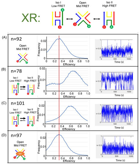 Integration Host Factor Binds DNA Holliday Junctions
