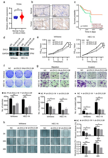 RNA-Binding Protein MEX3A Interacting with DVL3 Stabilizes Wnt/β ...