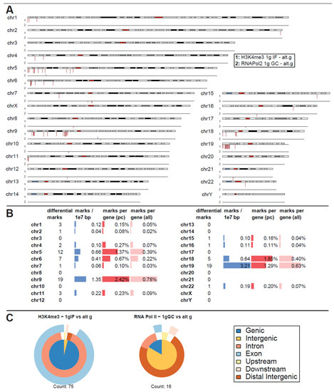 Rapid Downregulation of H3K4me3 Binding to Immunoregulatory Genes in Altered Gravity in Primary ...