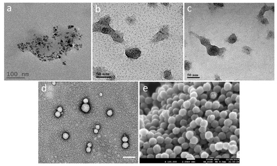 Supermagnetic Human Serum Albumin (HSA) Nanoparticles and PLGA-Based ...