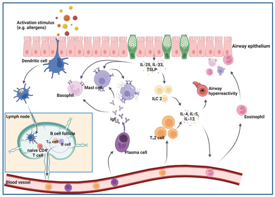 The Role of Staphylococcus aureus and Its Toxins in the Pathogenesis of ...