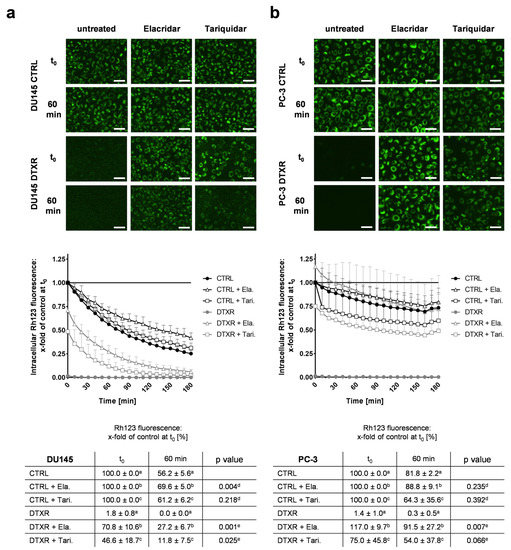 Comprehensive Evaluation of Multiple Approaches Targeting ABCB1 to ...