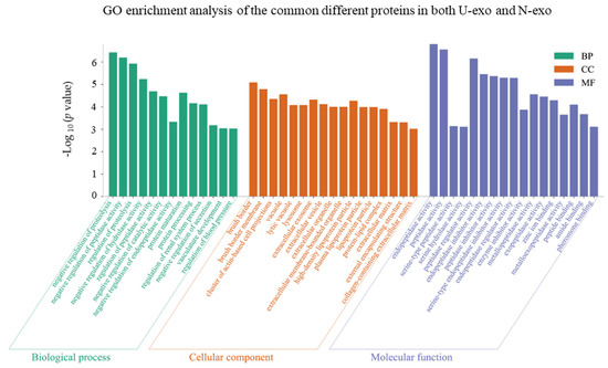 iTRAQ-Based Proteomic Analysis of APP Transgenic Mouse Urine Exosomes