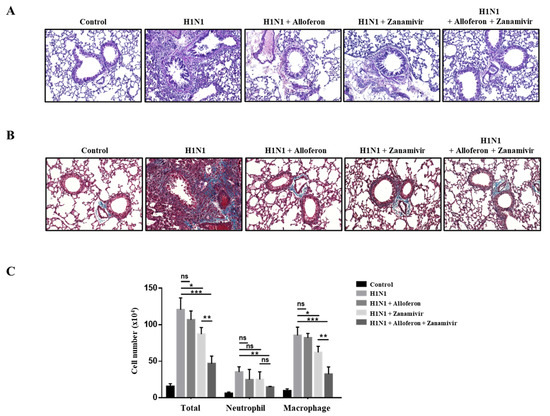 Alloferon and Zanamivir Show Effective Antiviral Activity against ...