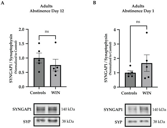 Synaptoproteomic Analysis of the Prefrontal Cortex Reveals Spatio ...