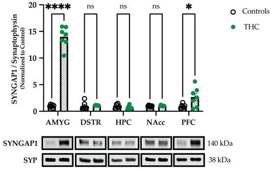 Synaptoproteomic Analysis of the Prefrontal Cortex Reveals Spatio ...