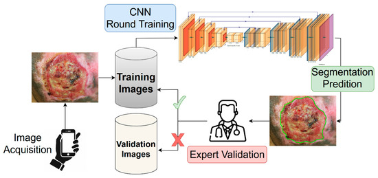 Effectiveness of Semi-Supervised Active Learning in Automated Wound ...