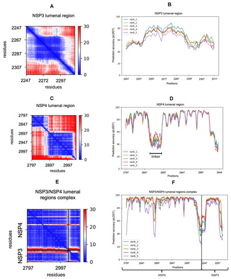 Modelling the Transitioning of SARS-CoV-2 nsp3 and nsp4 Lumenal Regions ...