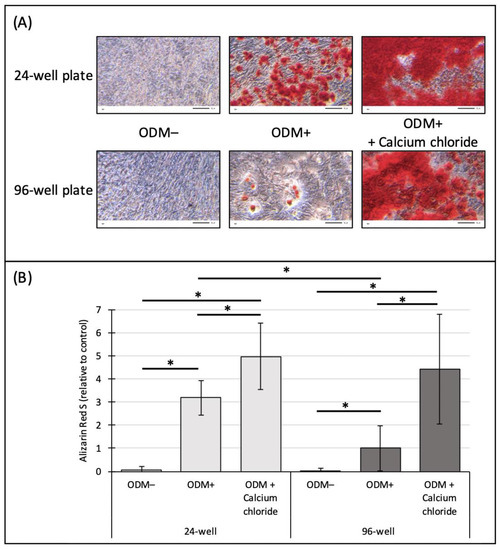 Optimization of the Alizarin Red S Assay by Enhancing Mineralization of ...